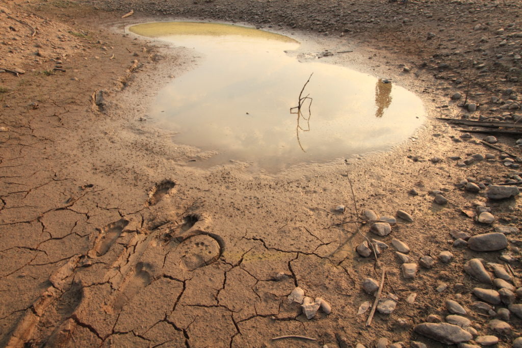 Water, a Terrible Thing To Waste - Sustainability, Energy Conservation ...